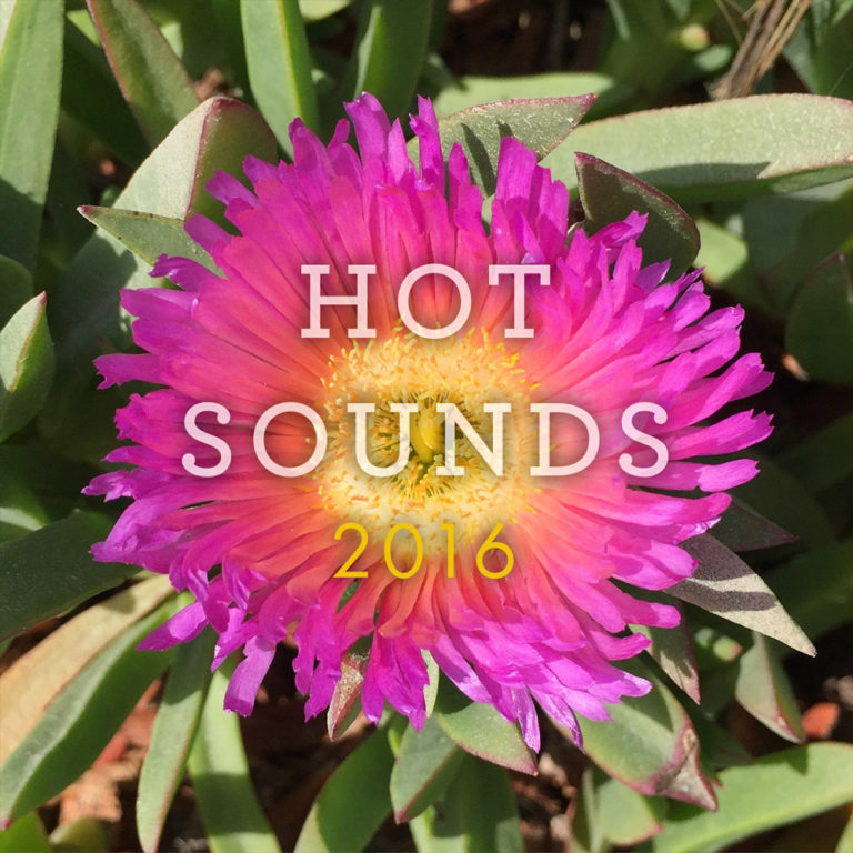 Hot Sounds – Sporadic, Beautiful Things