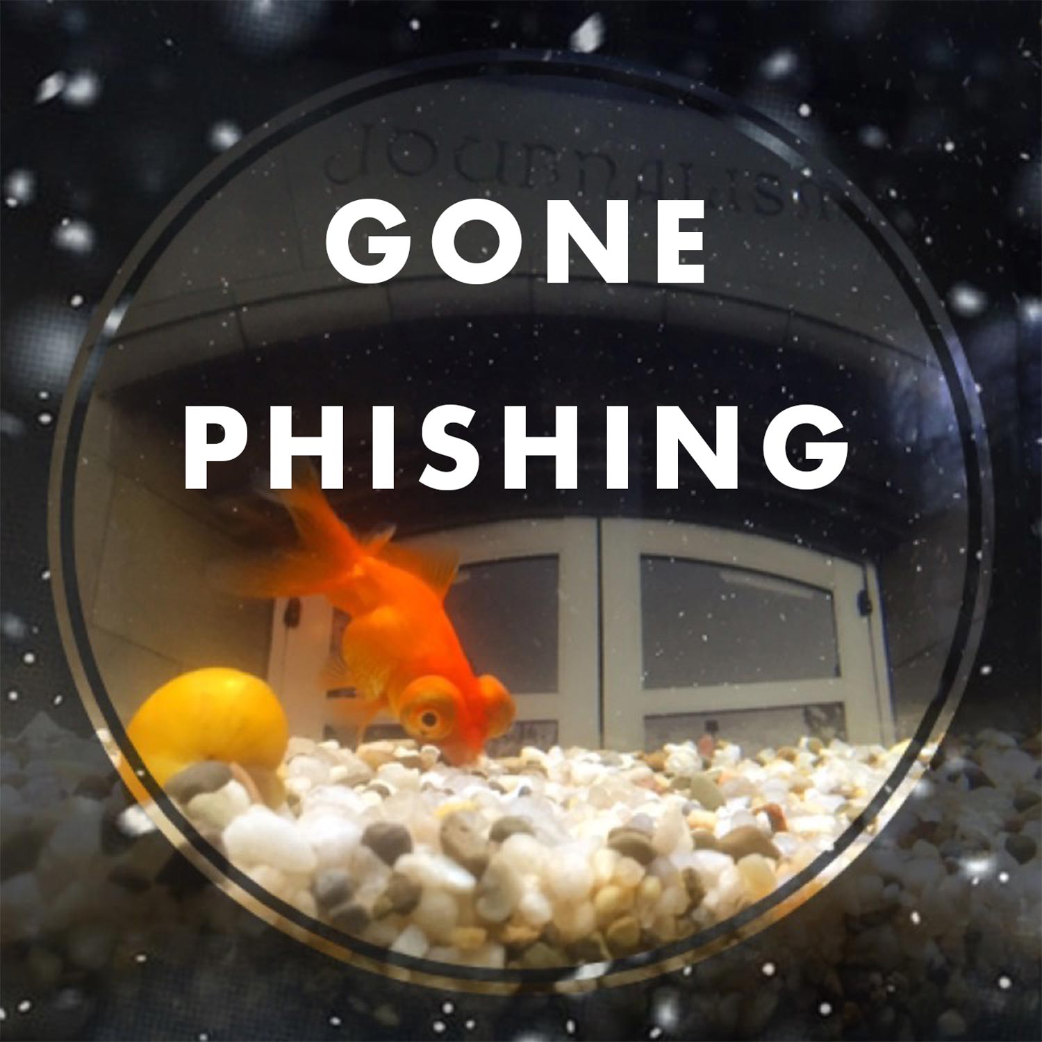 Gone Phishing – Sporadic, Beautiful Things